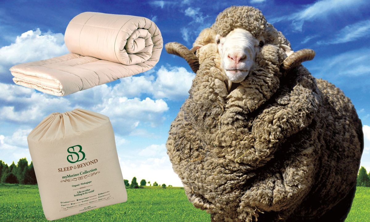 Experience the Comfort of Merino Wool in Your Bedding!