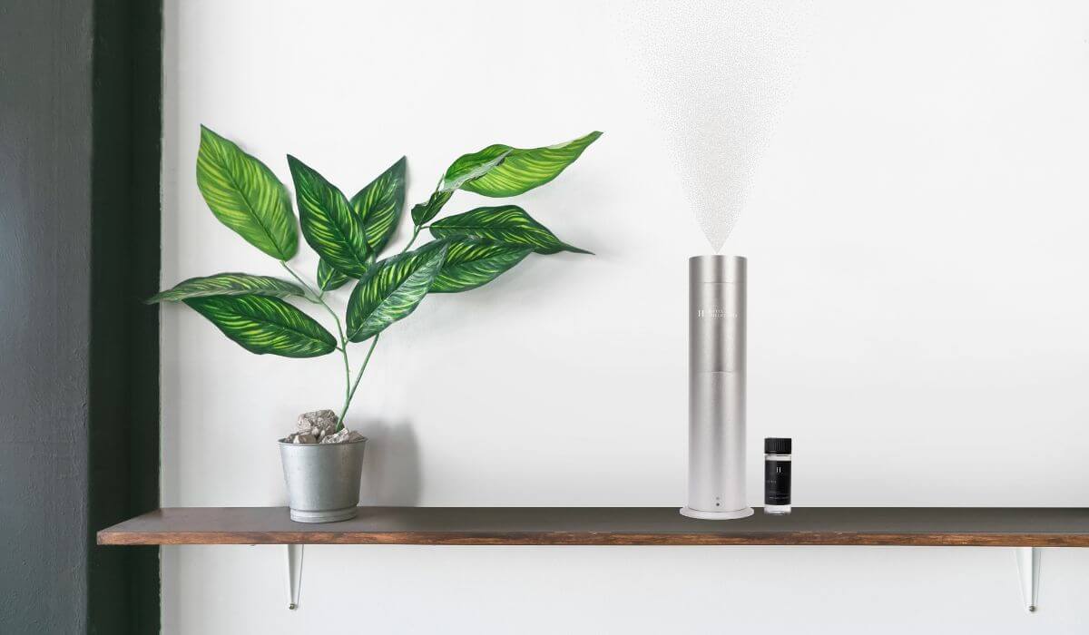 FAV Smell: A Guide to a Luxury Scent Experience for Home